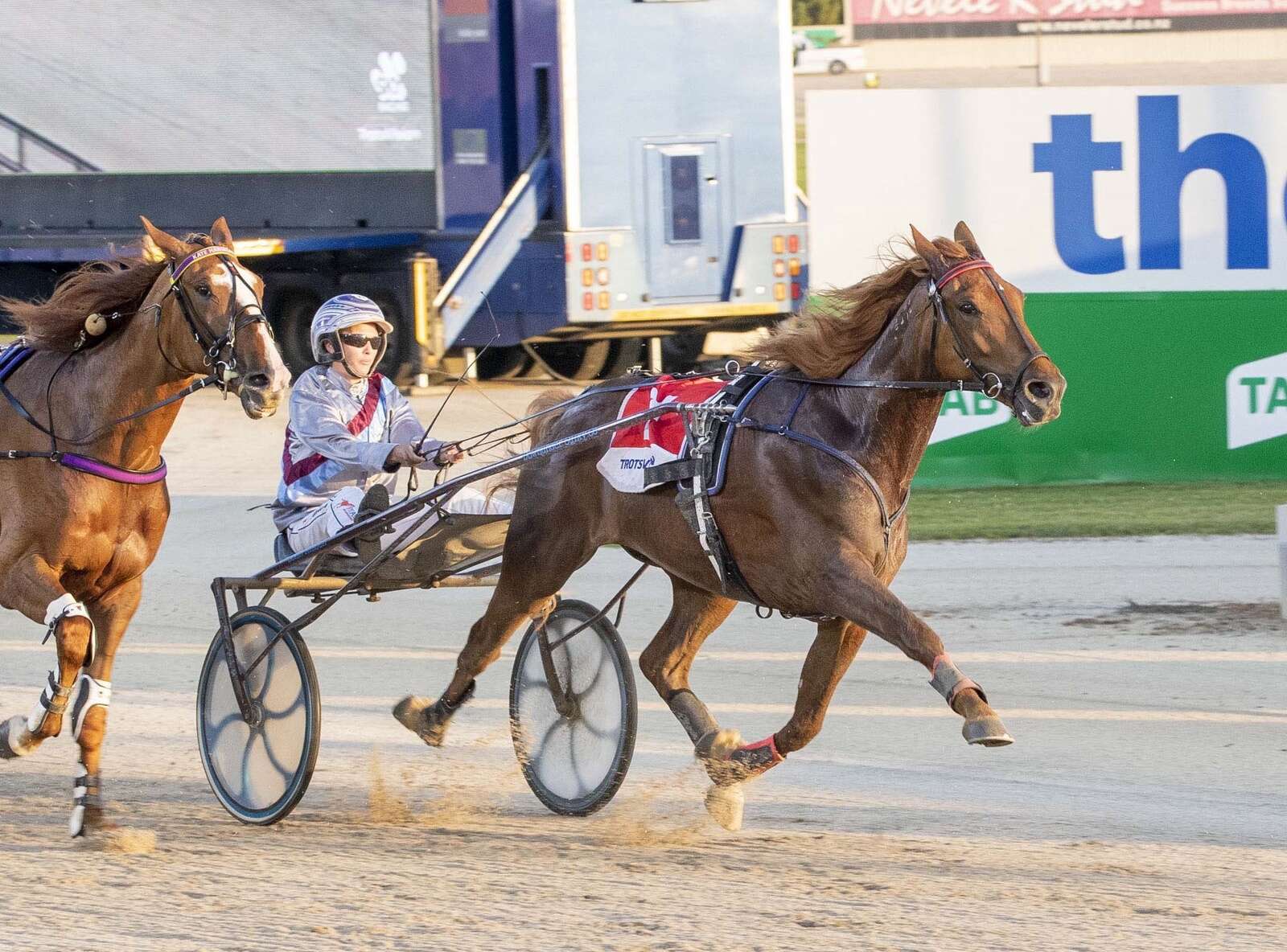 Robbin’ the hood with Locksley Lover | Shepparton News