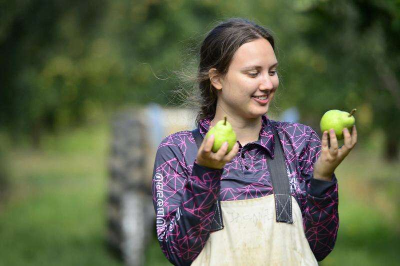 Country News journalist Daneka Hill goes fruit picking | Country News