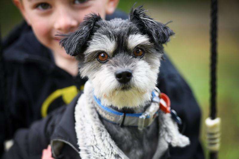 PHOTO GALLERY: Plenty of love for these pets | Shepparton News