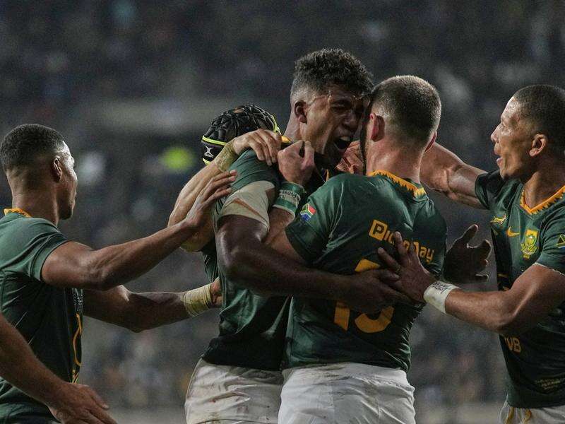 14-man Springboks score seven tries to crush Italy | Kyabram Free Press