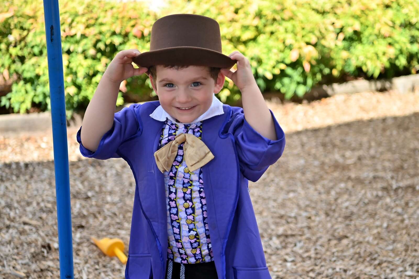 Wonka whirlwind: Gowrie St kindergarten students enjoy dress-up day ...