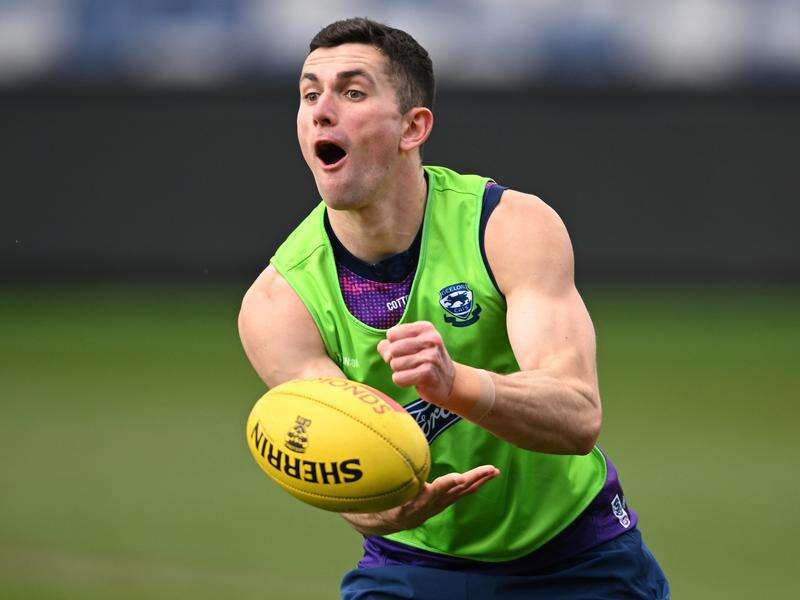 O'Connor called into Cats' AFL GF team | Benalla Ensign
