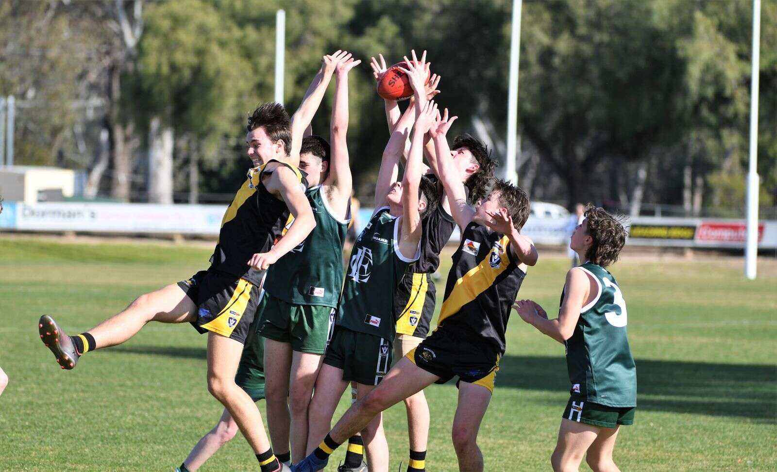 Golden rego prizes for new AFL season | Dairy News Australia