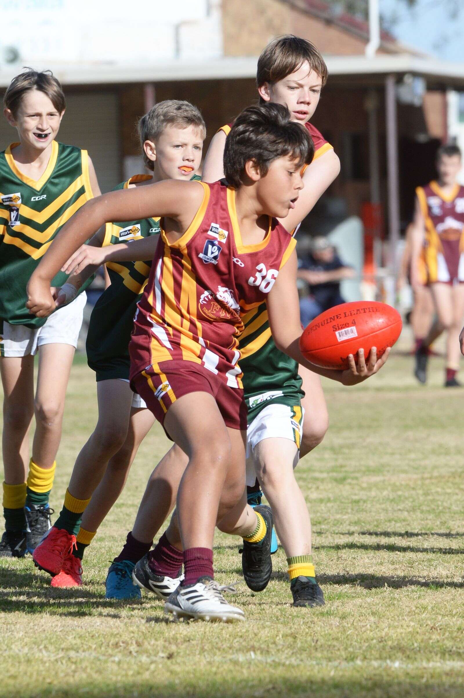 Get ready to join the club | Shepparton News