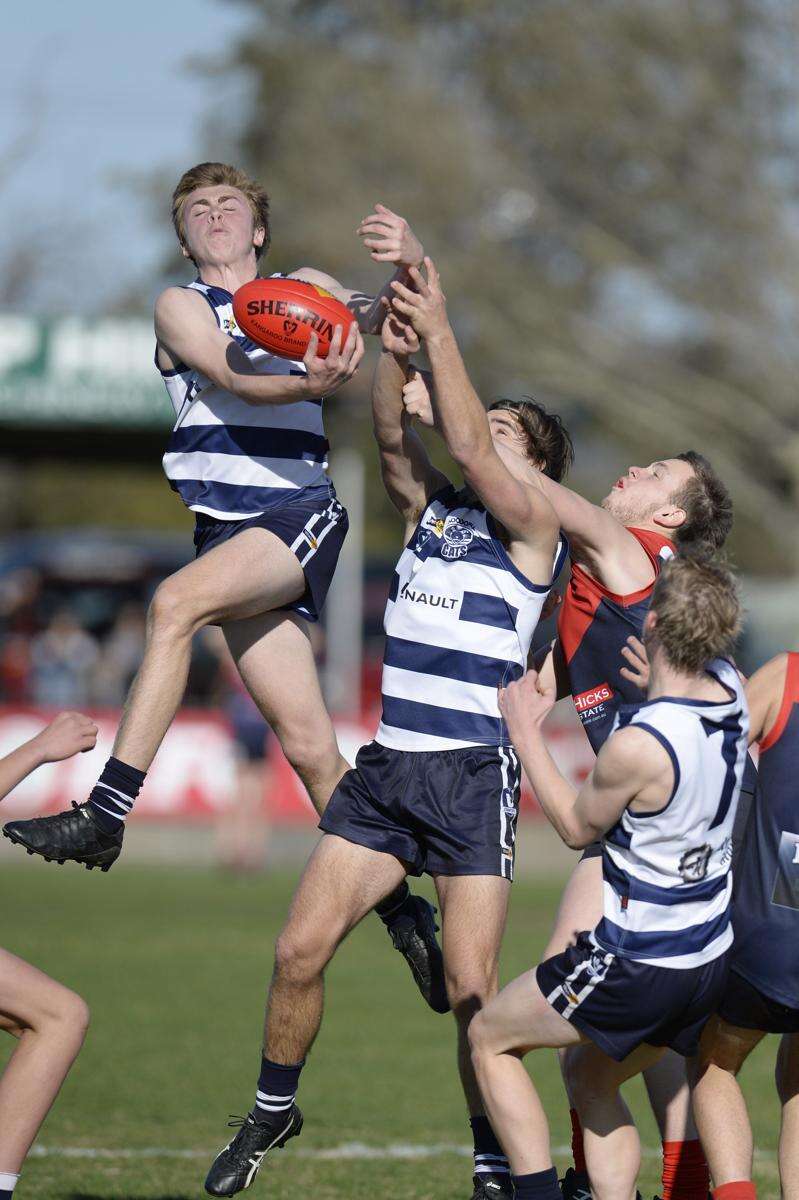 Murray Bushrangers preview | Riverine Herald