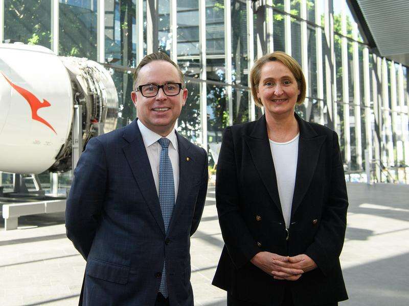 Qantas reveals first female CEO to replace Alan Joyce | Shepparton News