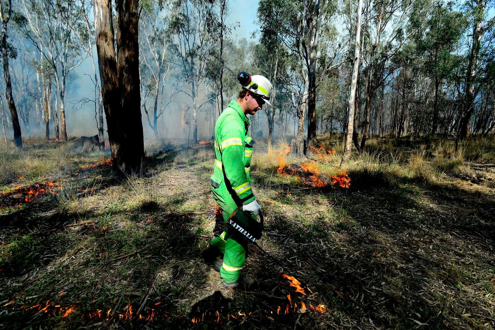 Planned burning works start to reduce bushfire risk | Southern Riverina ...