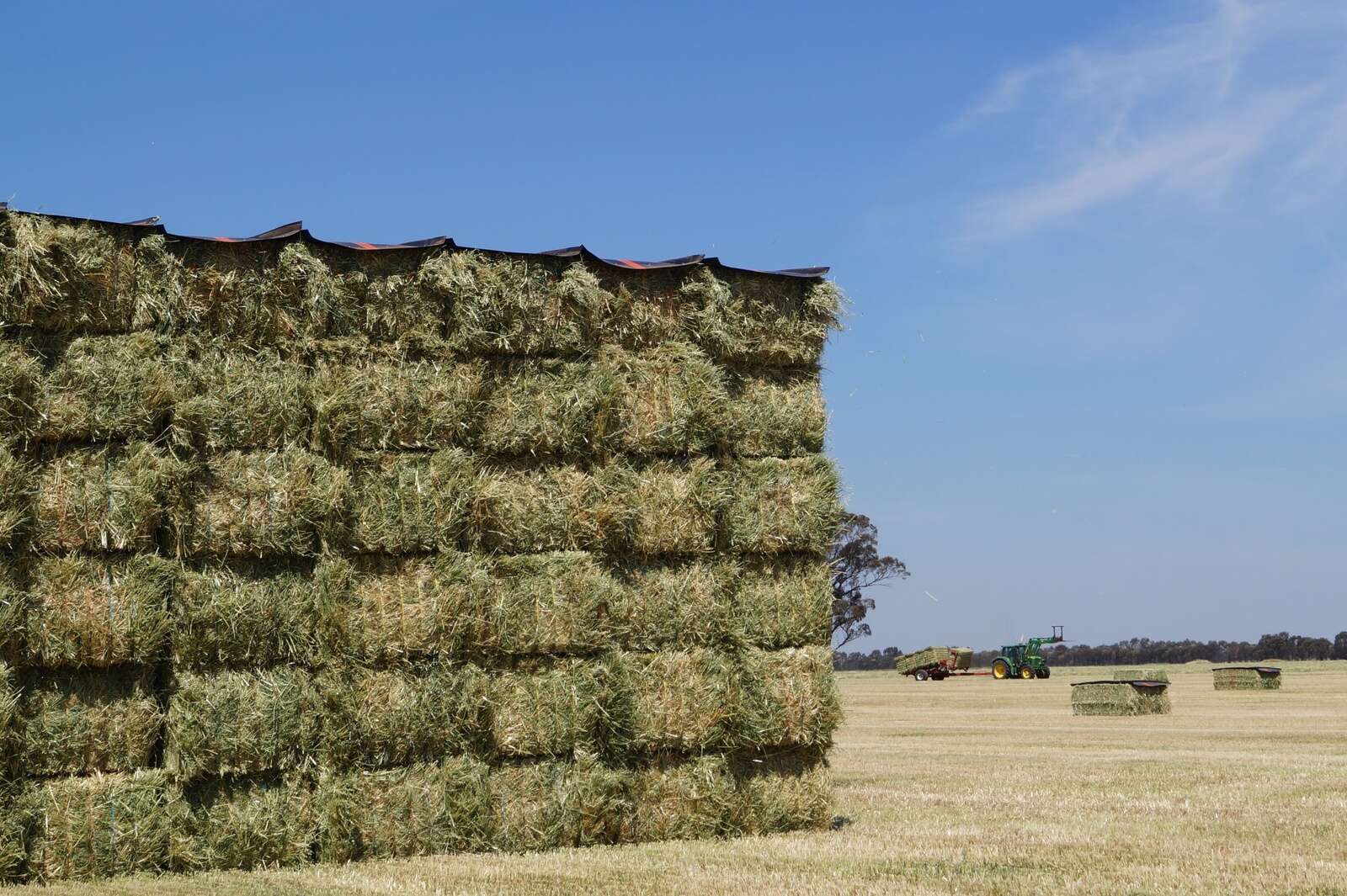 Protect your precious stack | Country News