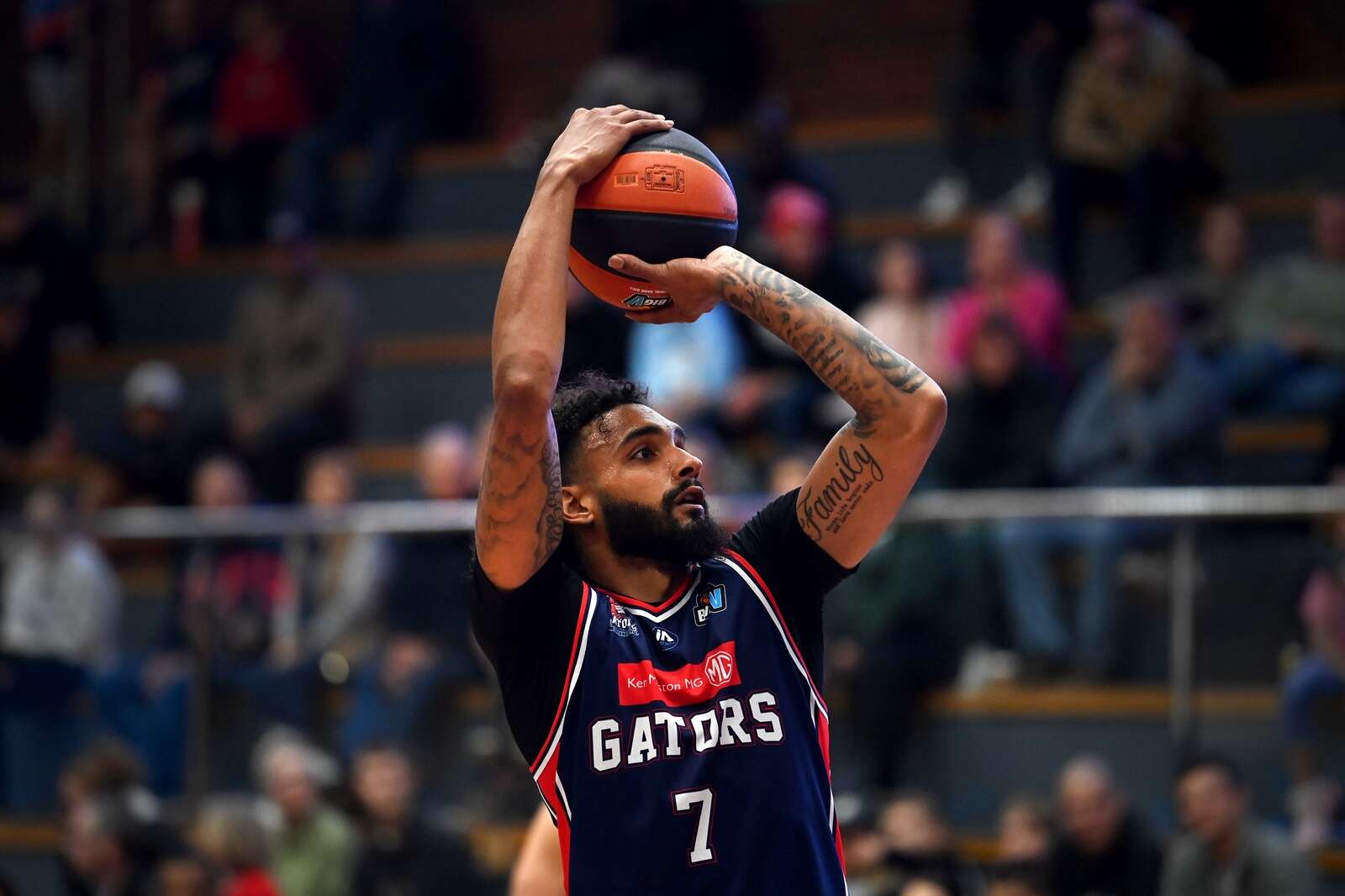 The Gators’ season is really beginning to pick up steam at the moment ...