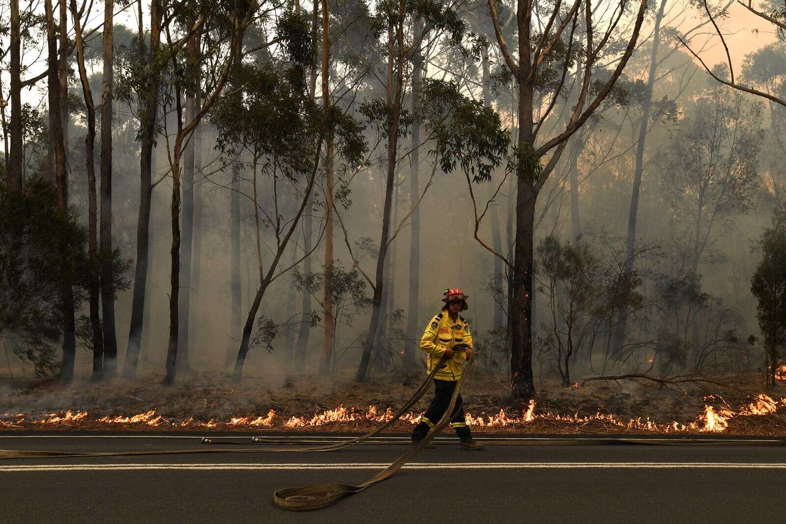 Fire danger increases on Victorian NSW border | Cobram Courier