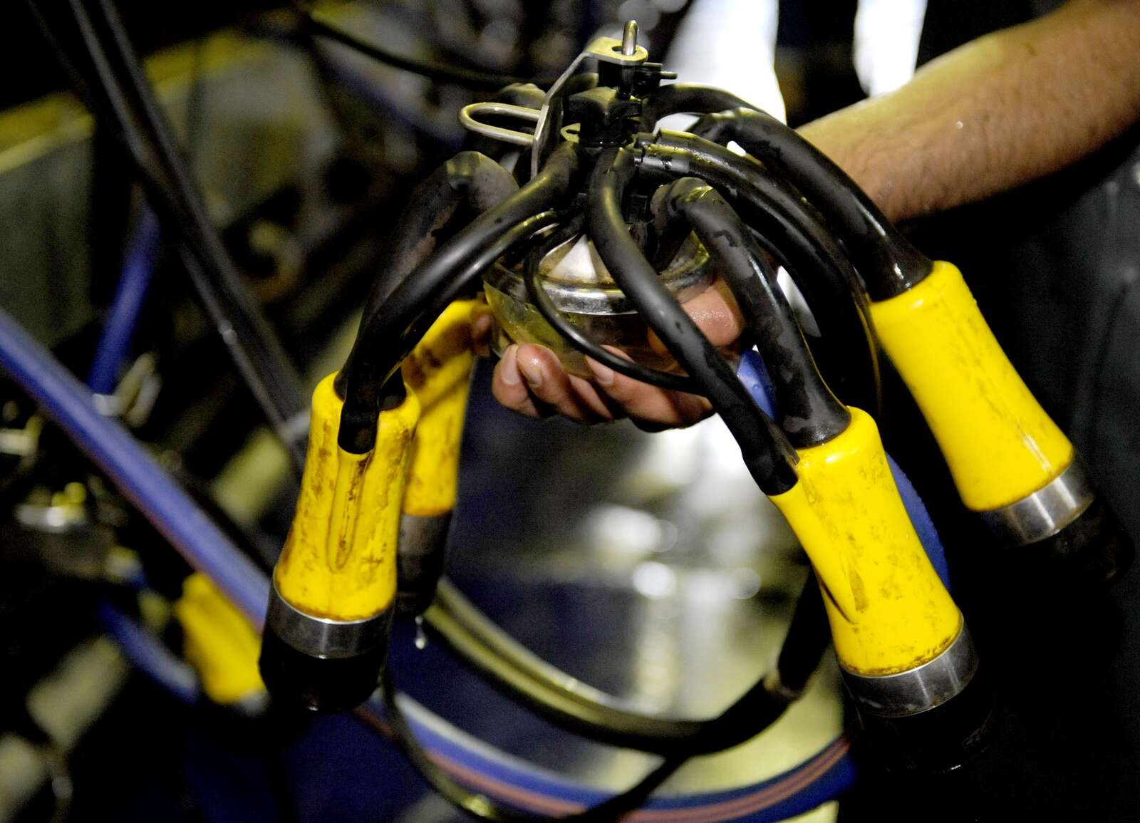 Understand your milk supply options | Country News