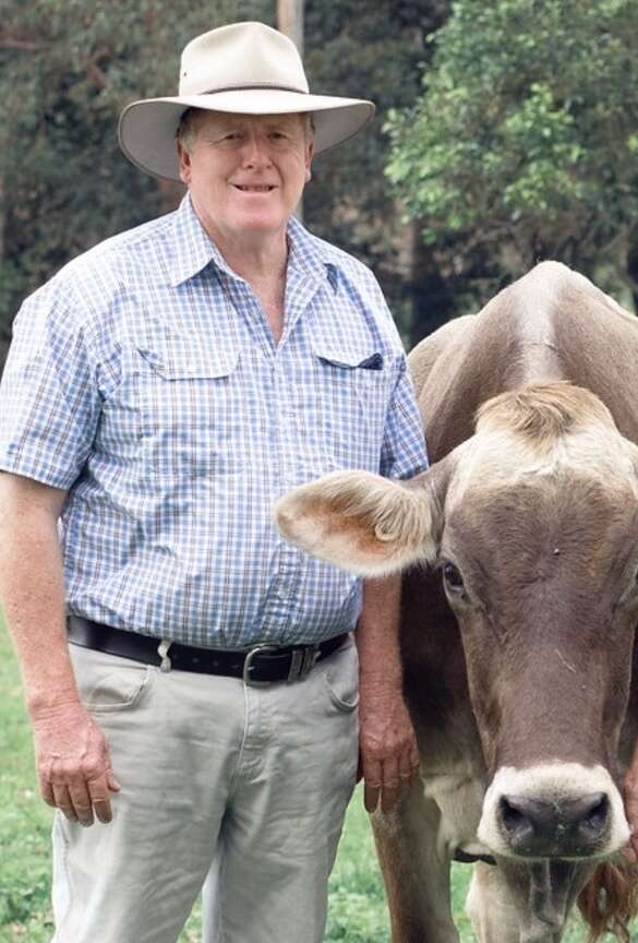 Dayboro’s last dairy farm saved | Dairy News Australia
