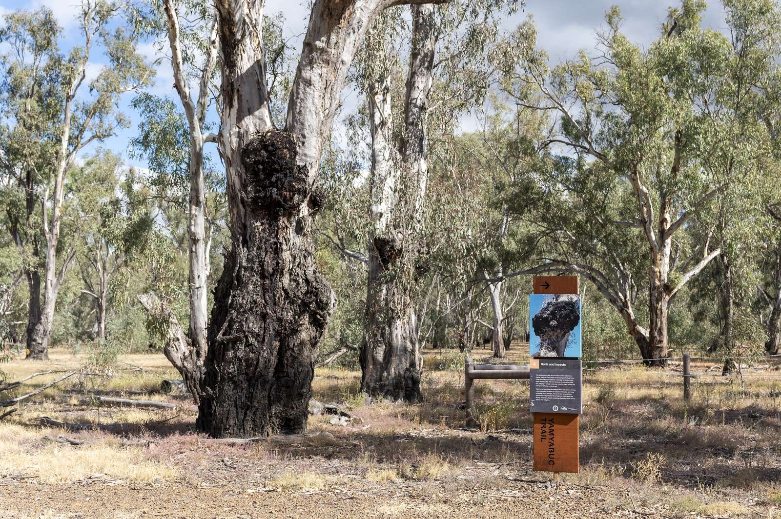 River cruises explore Yorta Yorta heritage | Shepparton News