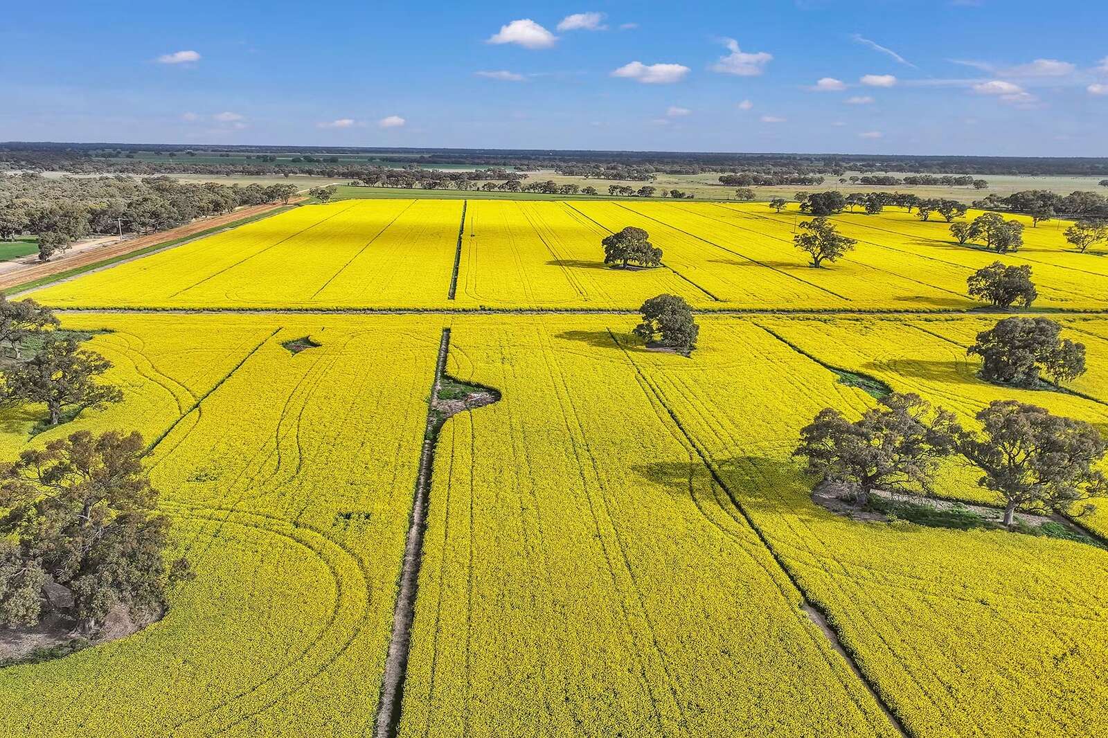 Prime Irrigation, Cropping & Livestock Country | Deniliquin Pastoral Times