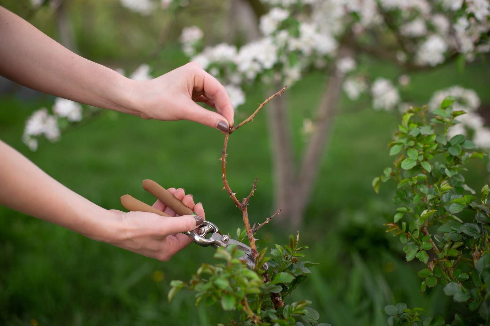 It’s cold, get busy | Country News