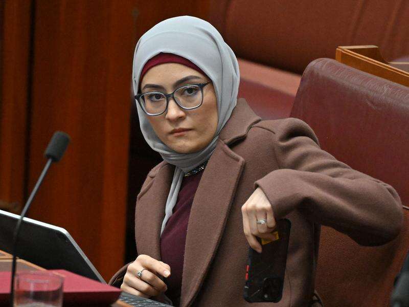 'Deeply torn' senator quits Labor over Palestine stance | Shepparton News