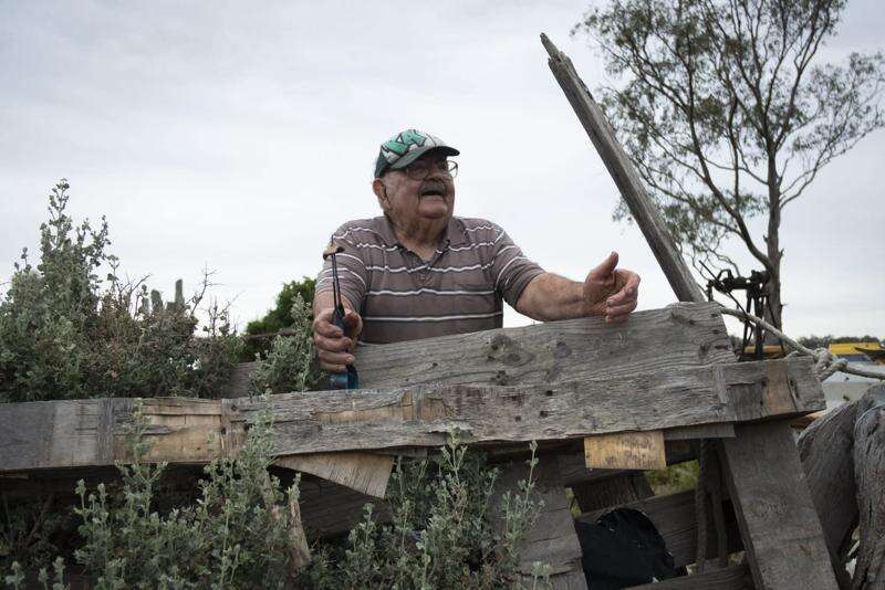 Gunbower's Colin ‘Pa’ McGillivray was born to shear | Country News