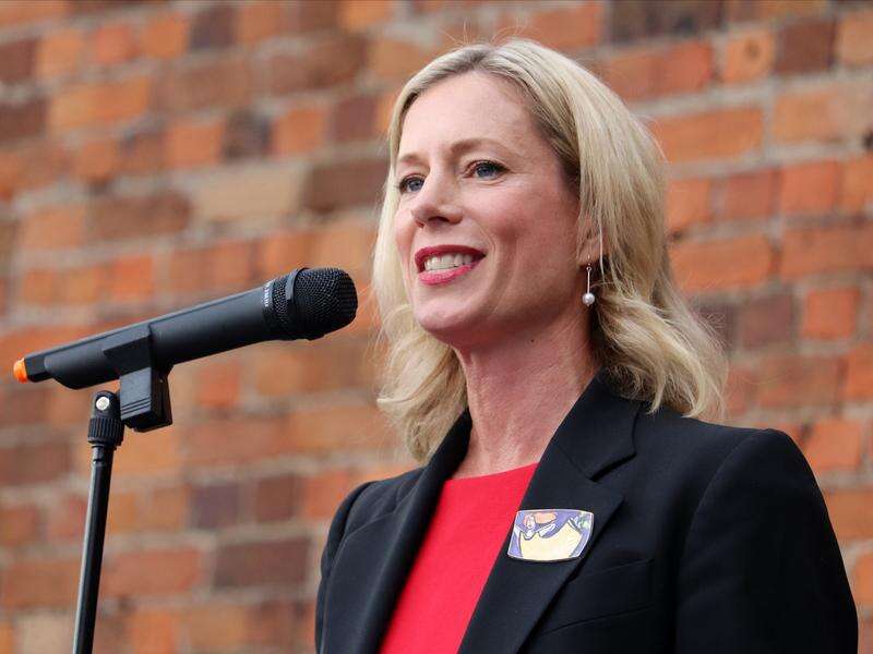 Tas Labor open to new stadium if AFL club proves itself | Country News