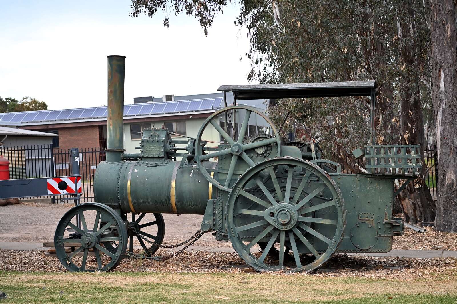 Bella is slowly bouncing back | Seymour Telegraph