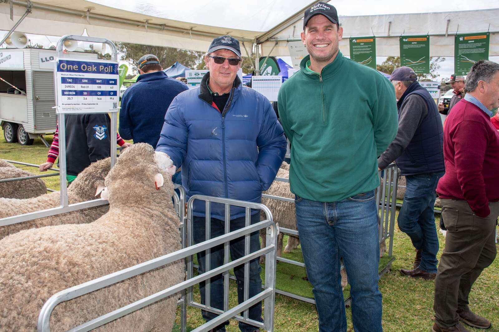 Conargo Sheep Show Draws Big Crowds | Country News