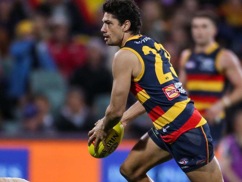 Adelaide's McAdam challenges AFL's three-game ban | Dairy News Australia