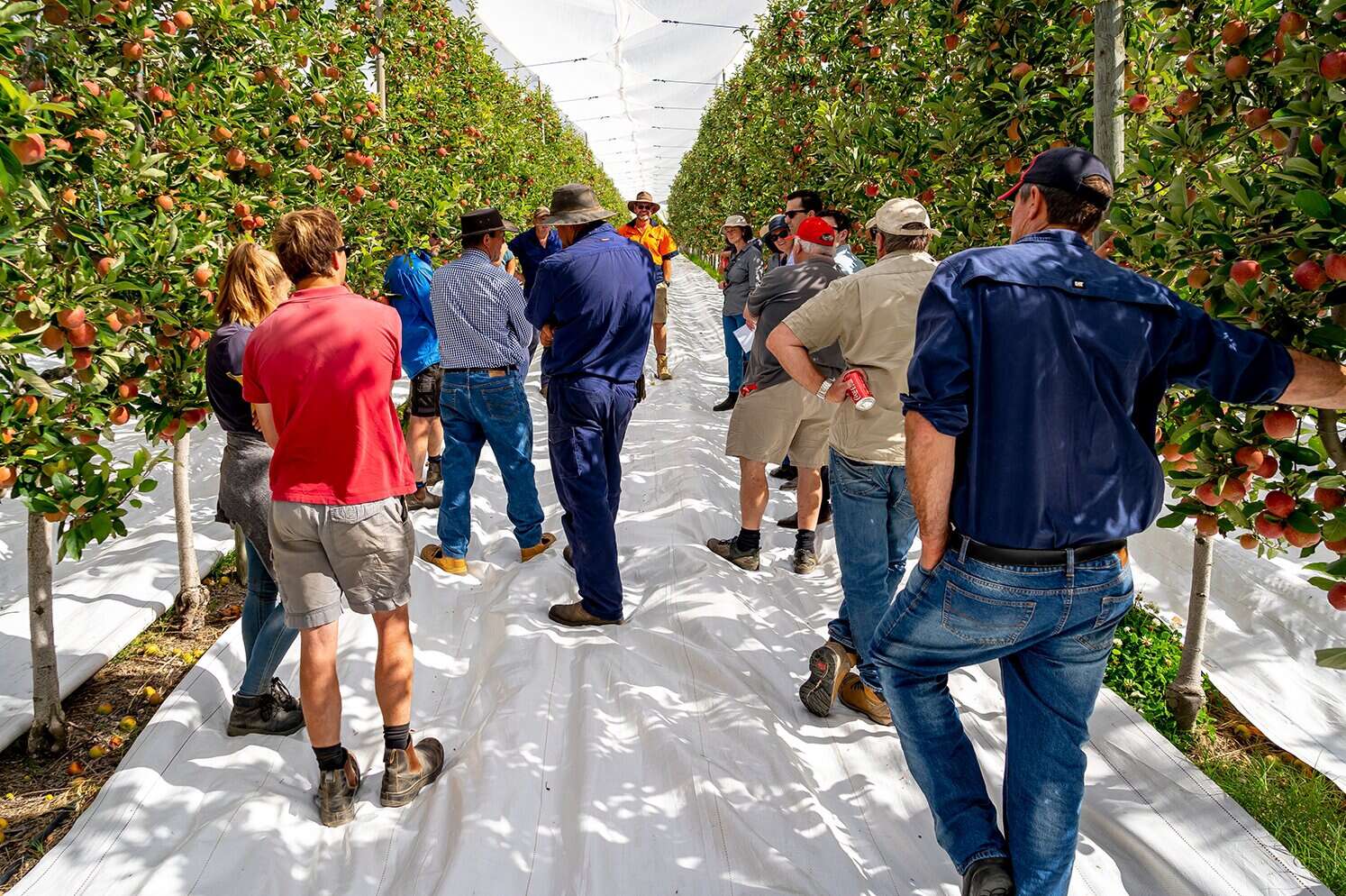 Research bodies unite to ramp up ag growth | Shepparton News