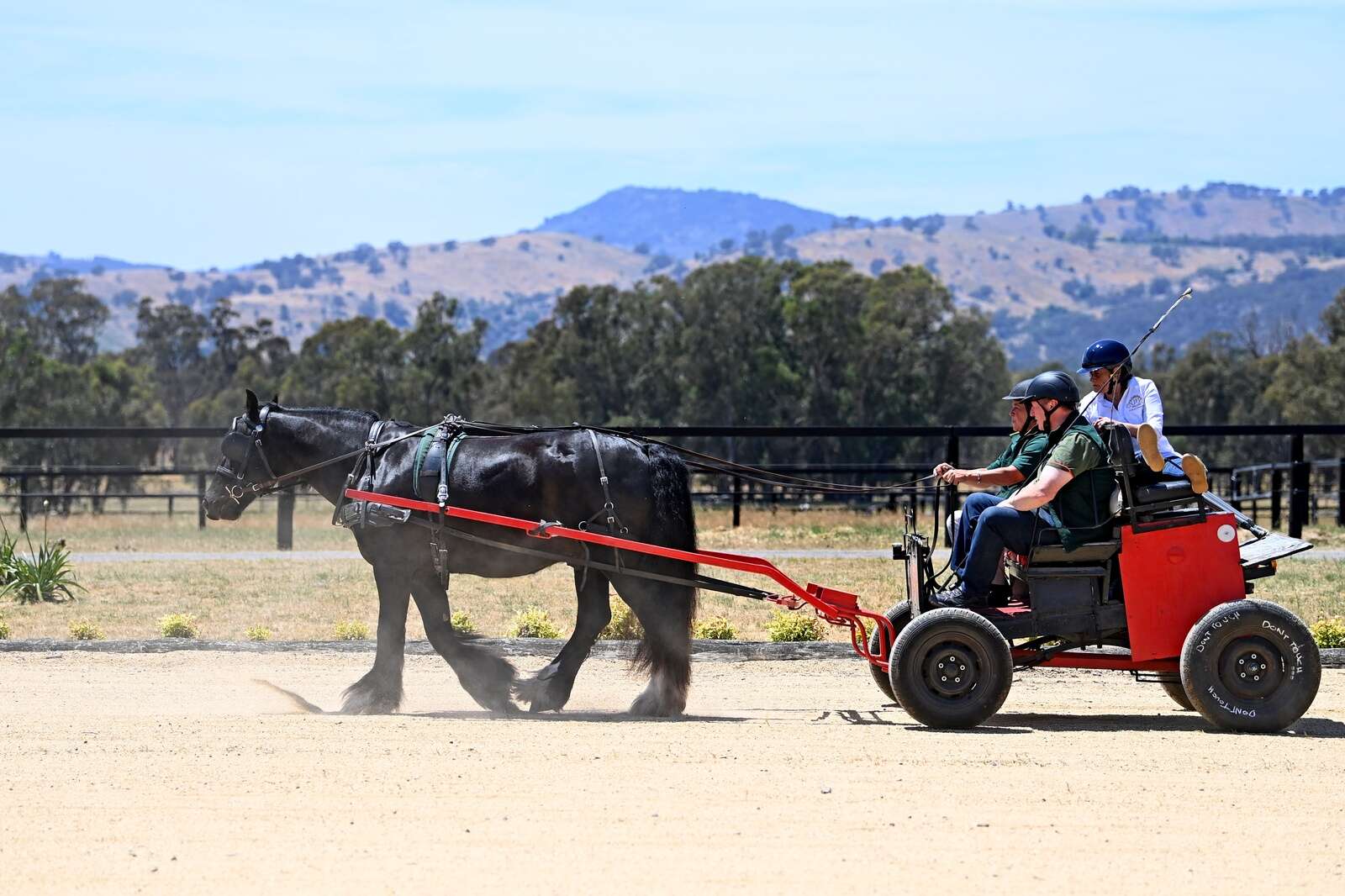 Horsepower drives healing through equine-assisted service | Shepparton News