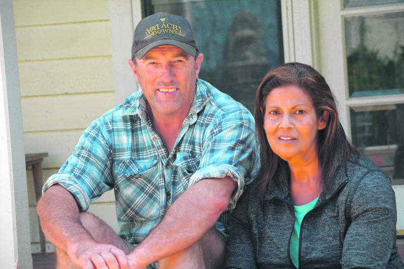 Proactive comeback | Dairy News Australia