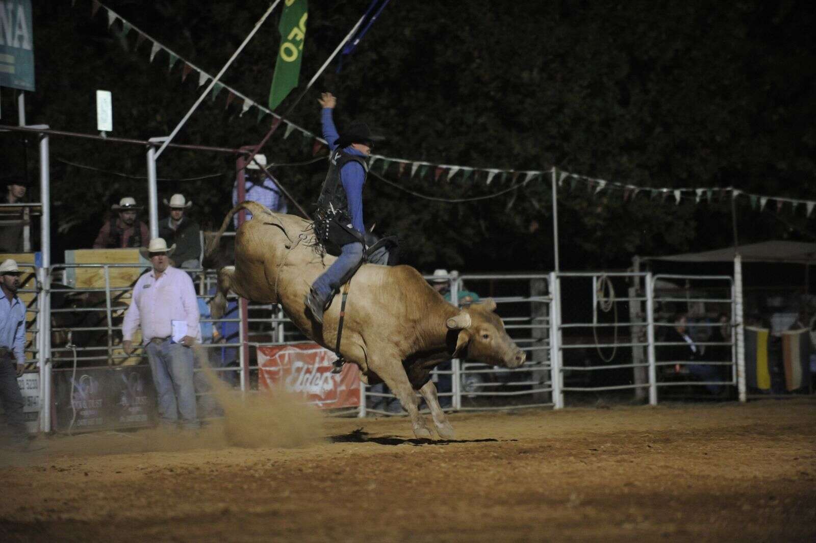 Kyabram rodeo rebounds | Shepparton News