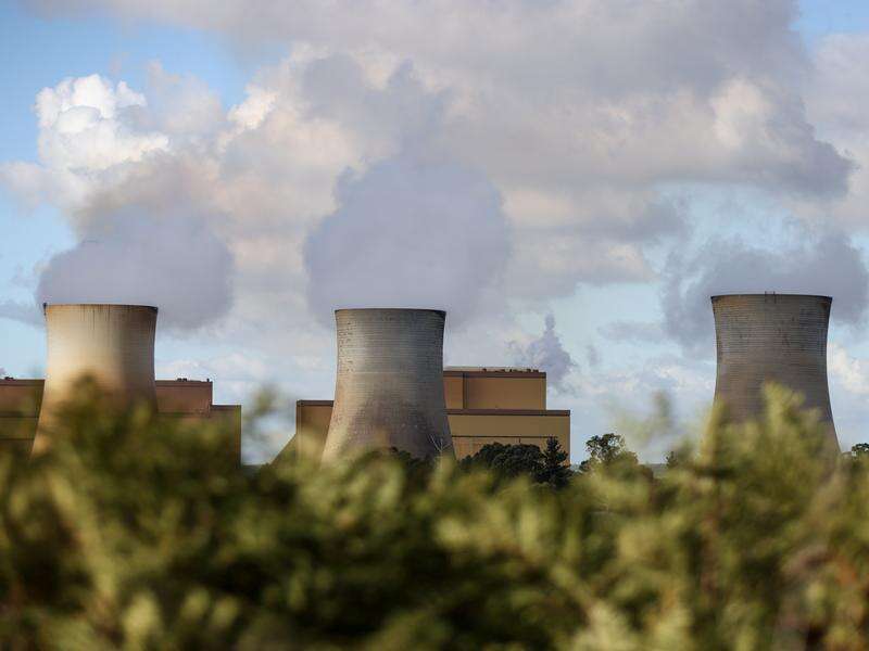 Doctors fear health fallout from nuclear energy plans | Country News