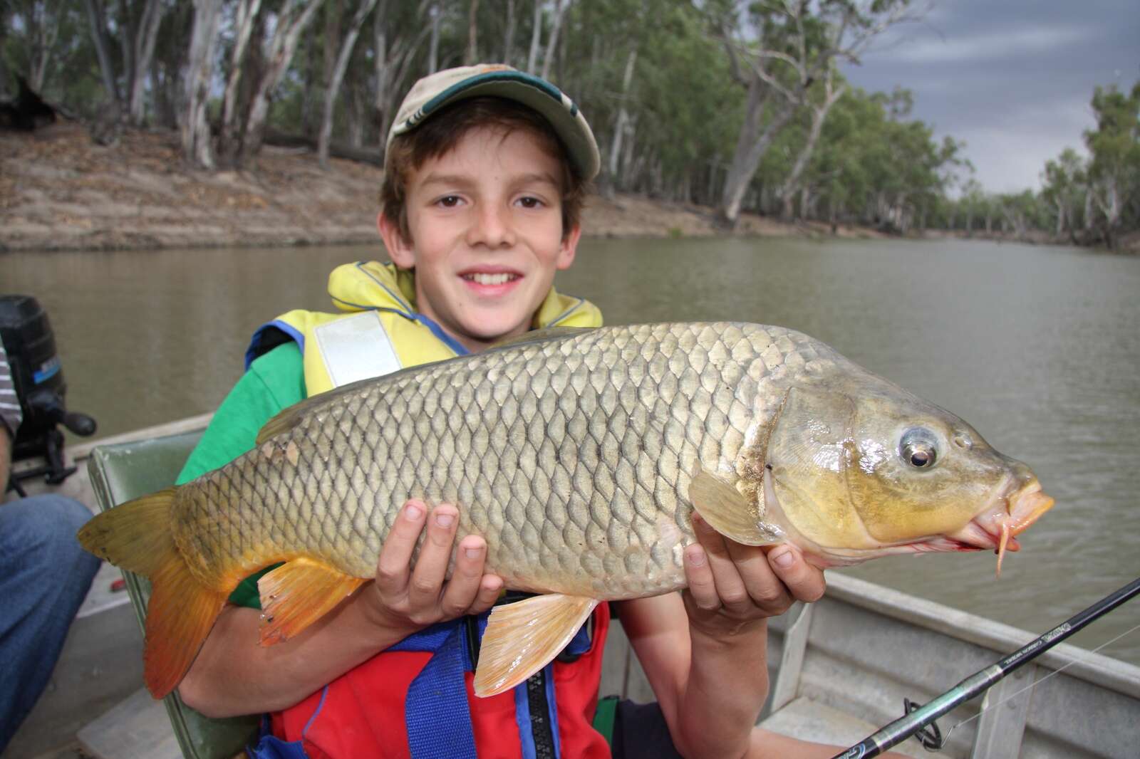 Catch carp, save native fish! | Riverine Herald