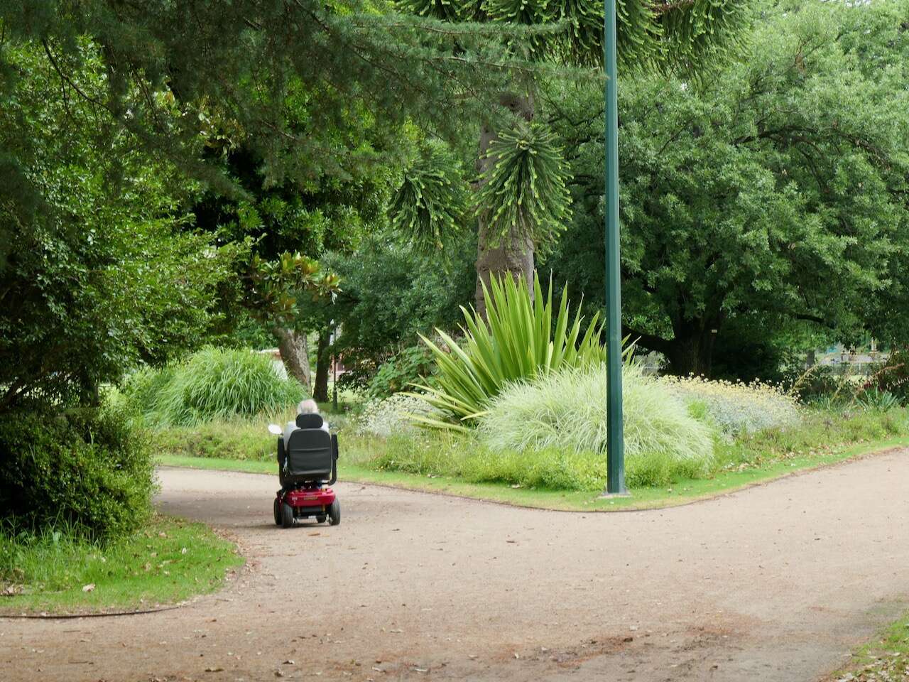 Benalla Botanical Gardens walking track accessible to all | Benalla Ensign