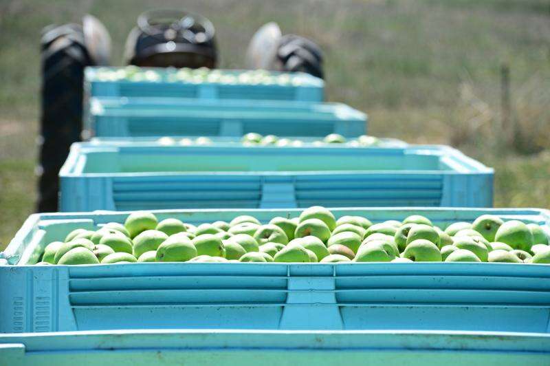 Praise for labour scheme changes | Country News