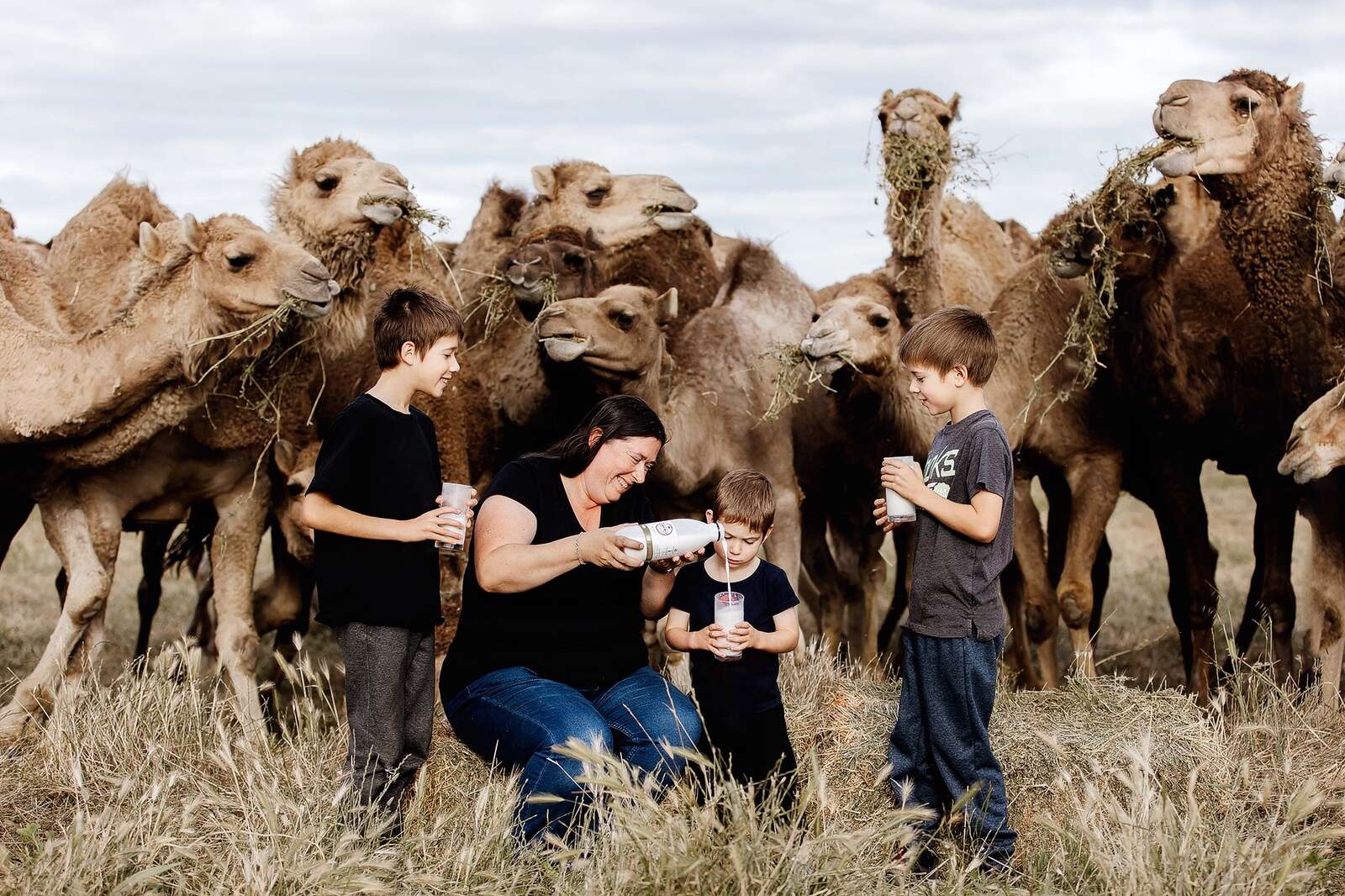 Camel milk study suggests health benefits | Kyabram Free Press