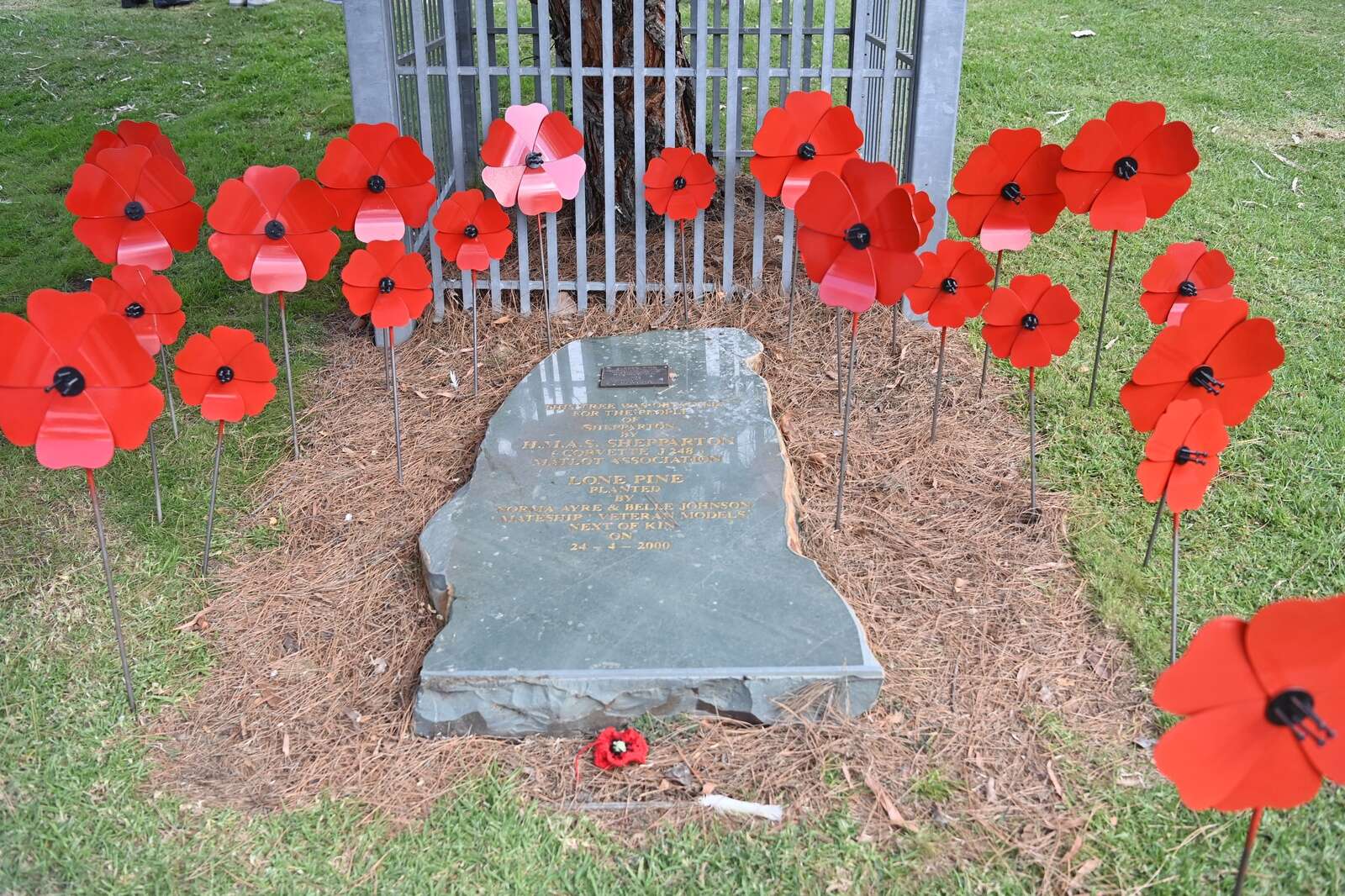 Watch the Anzac Day services | Seymour Telegraph