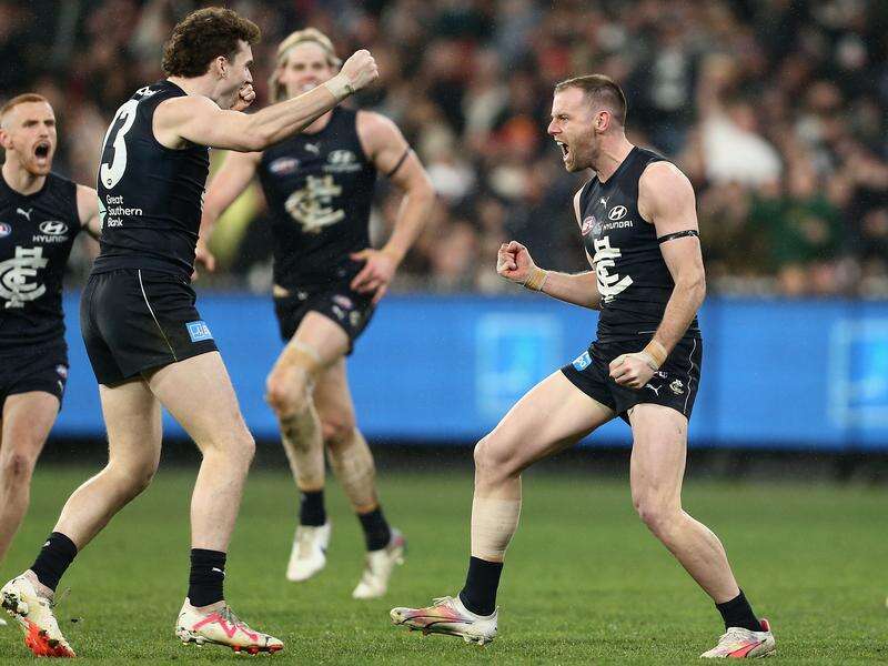 Snapshot for round 22 of the AFL season | Cobram Courier