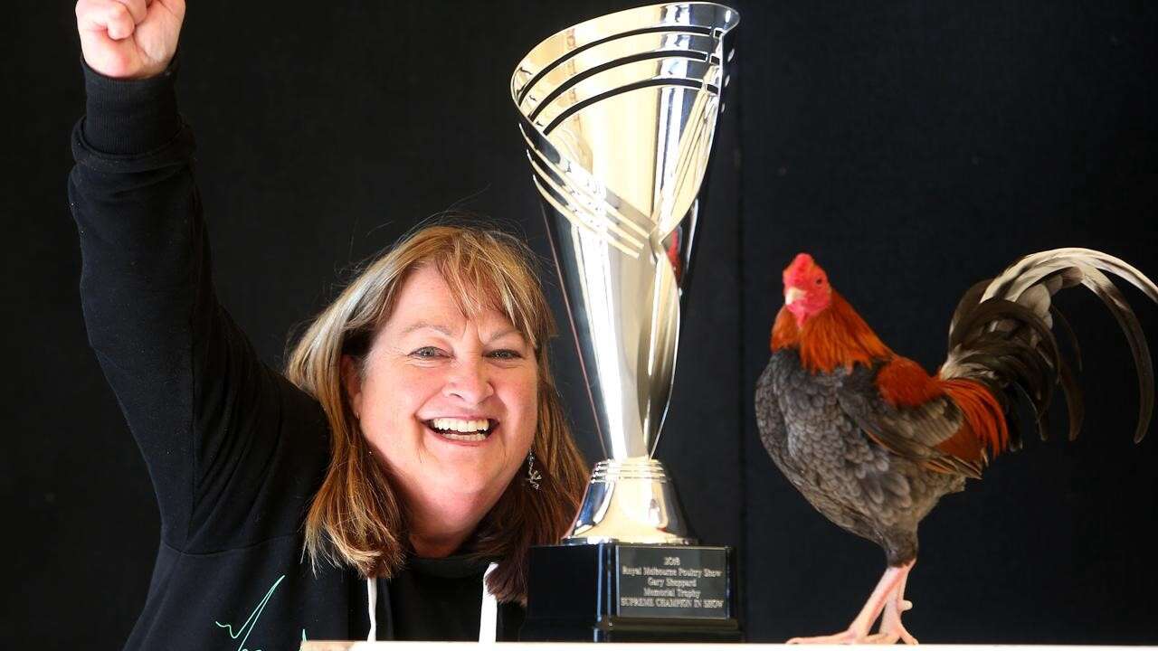 Poultry in motion at Melbourne Royal Show | Country News