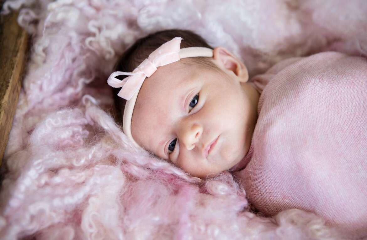 Freshest faces make their debut | Riverine Herald