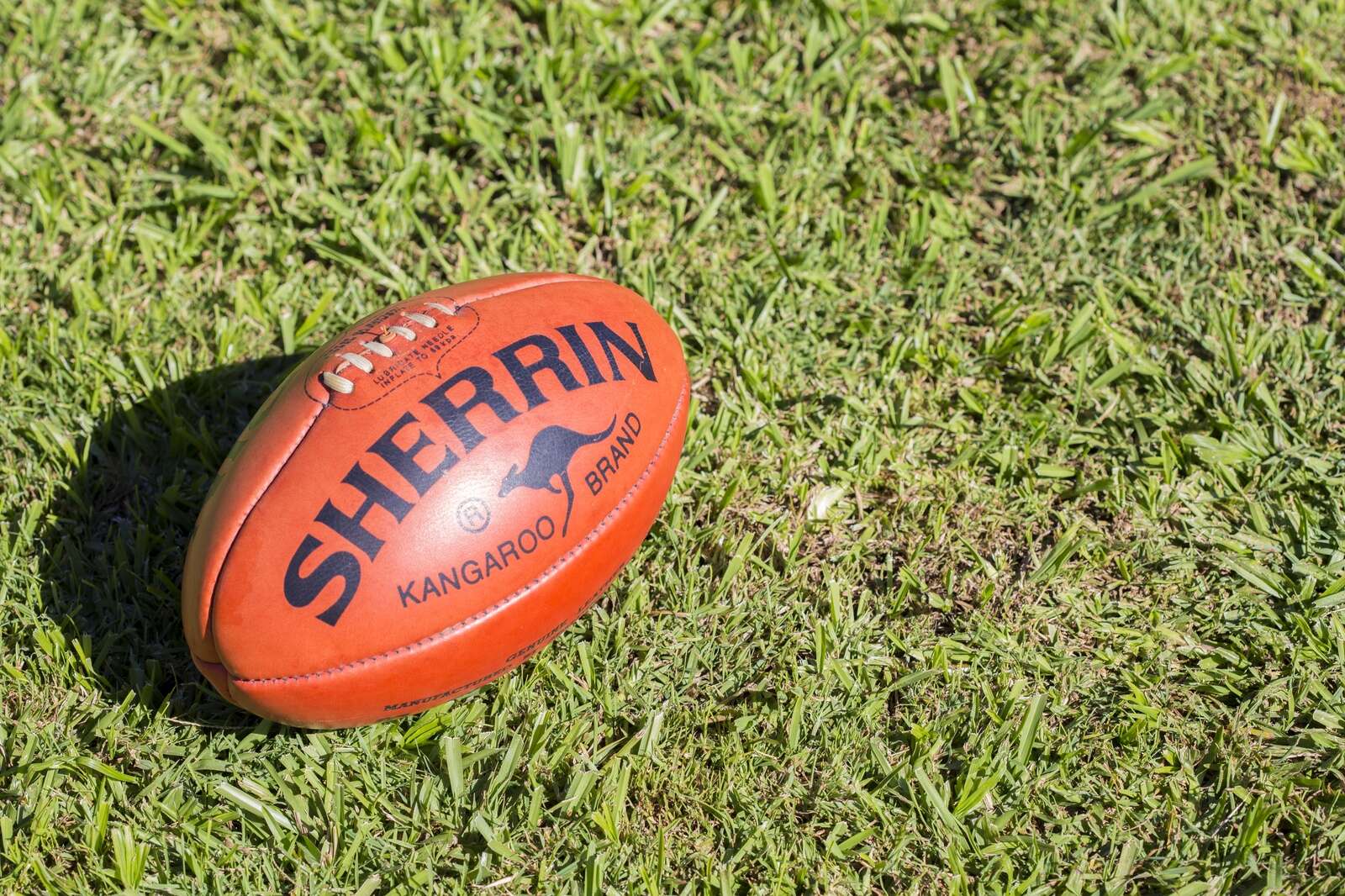 Blighty thirds convincing win in comeback season | Deniliquin Pastoral ...
