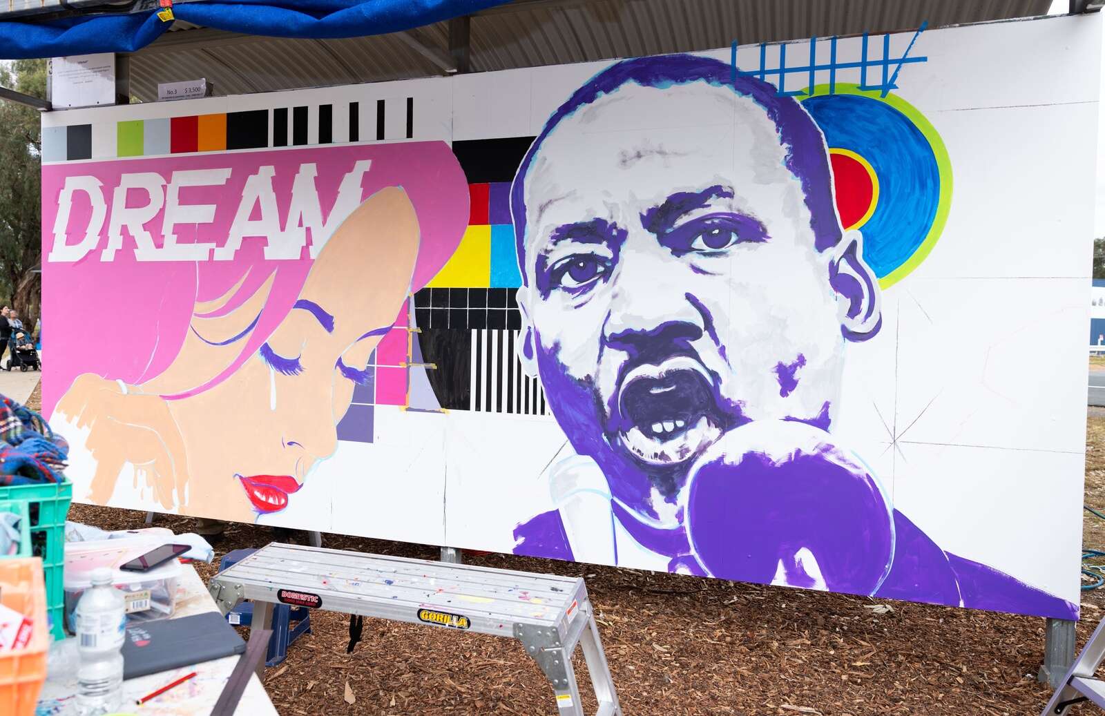 Murals capture spirit | Benalla Ensign