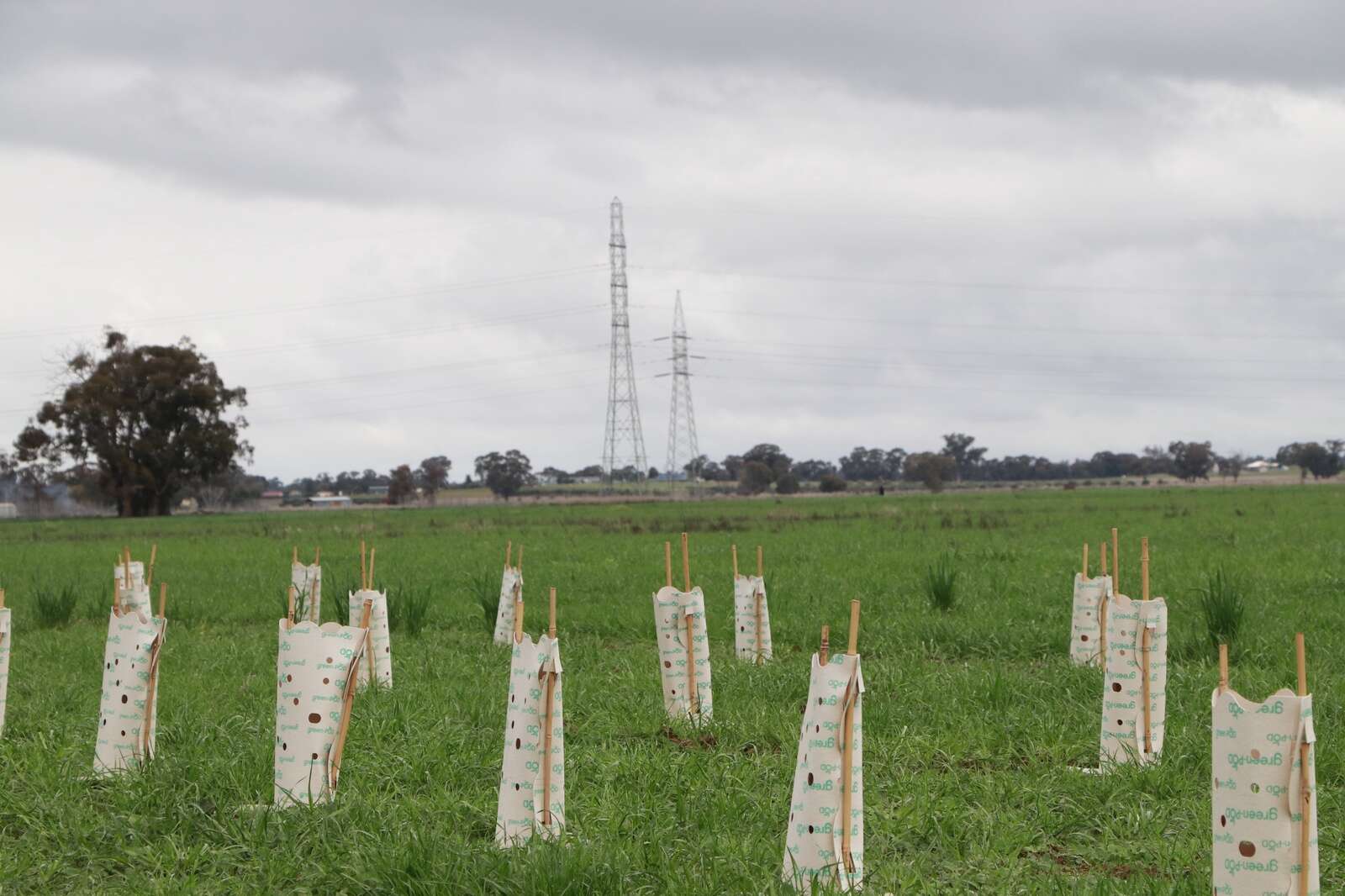 Major solar farm project gets started | Benalla Ensign
