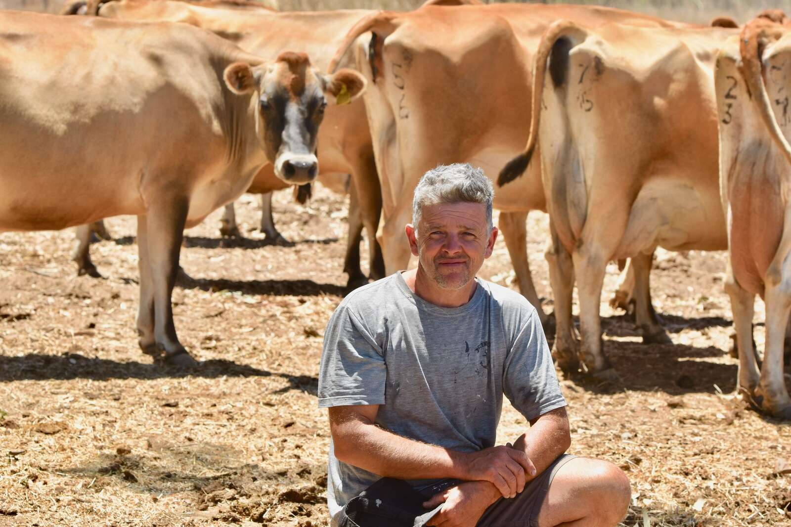 Adam is living his dream | Dairy News Australia