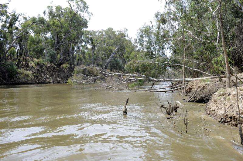 Report card marks basin plan progress | Southern Riverina News