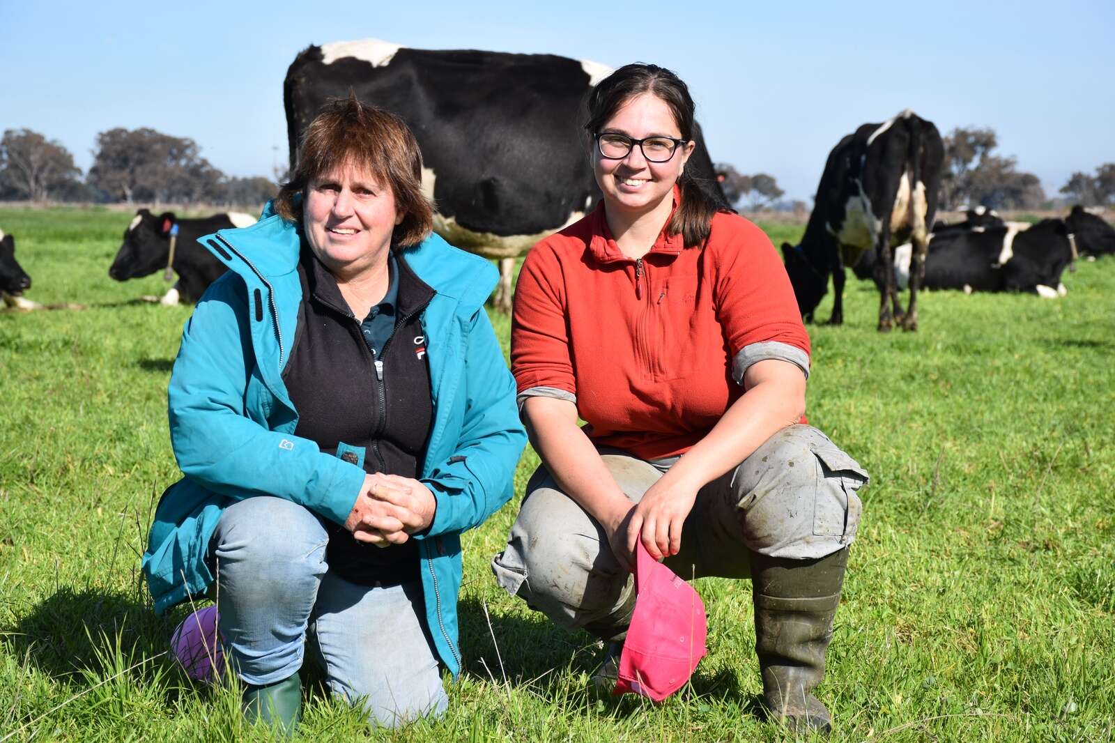 Breeding for easy-care cows | Shepparton News