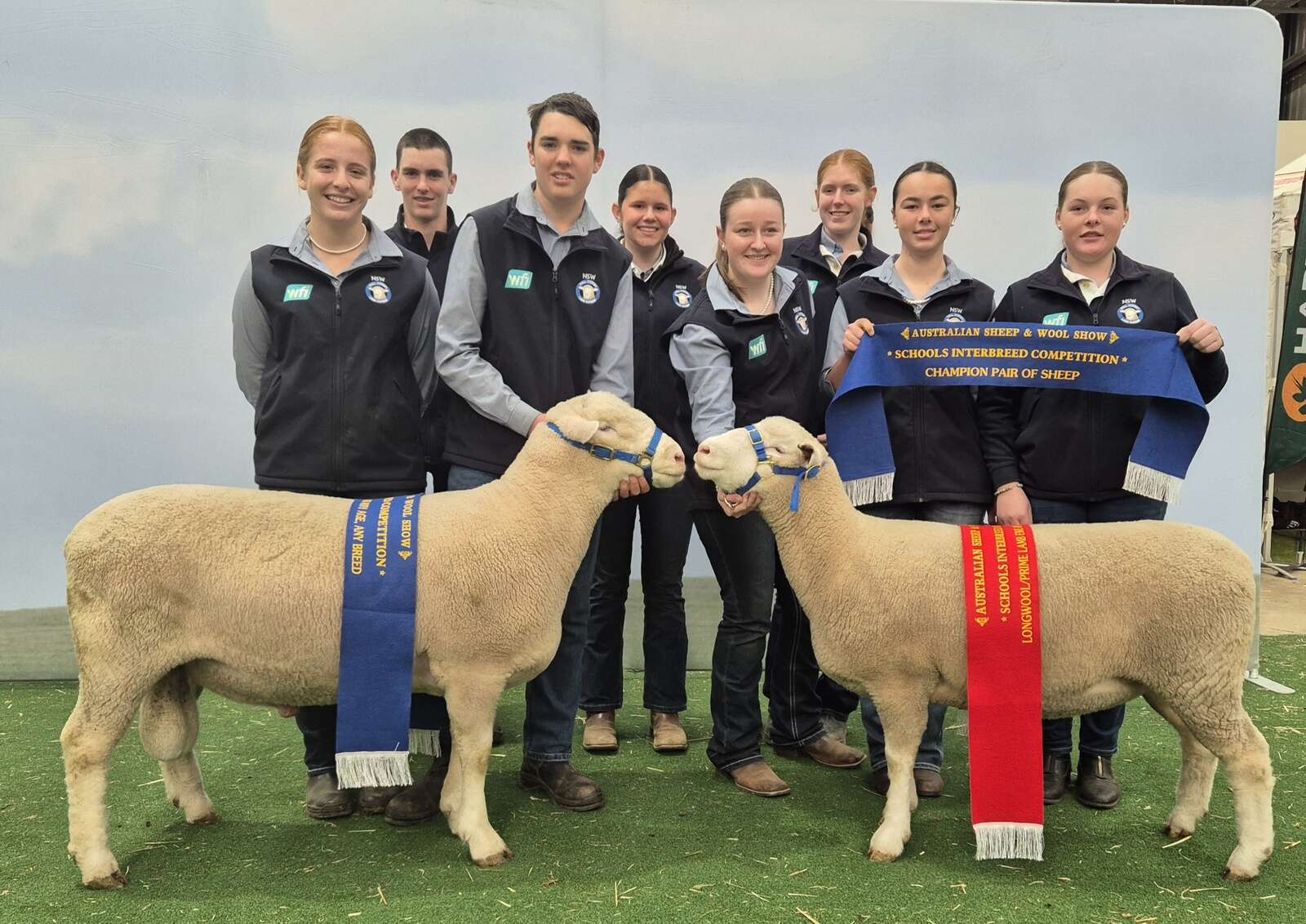 Crowds flock to sheep show | Dairy News Australia