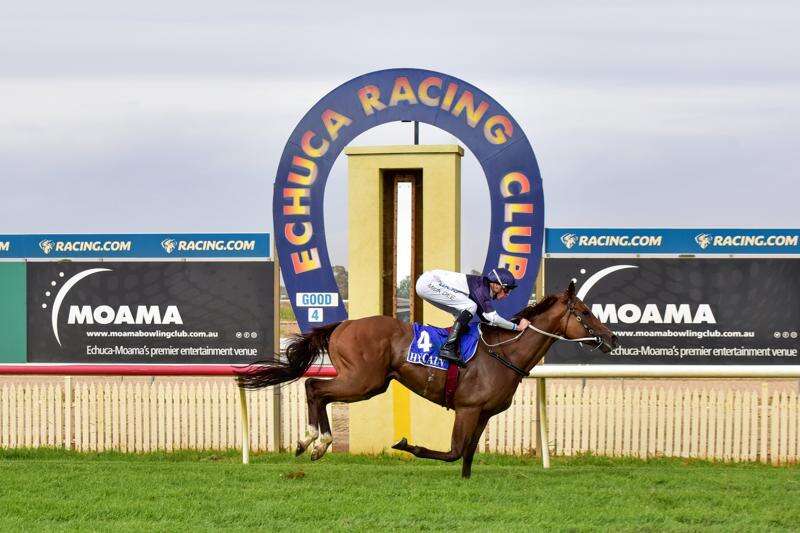 A big boost for Echuca Racing Club's big day | Riverine Herald