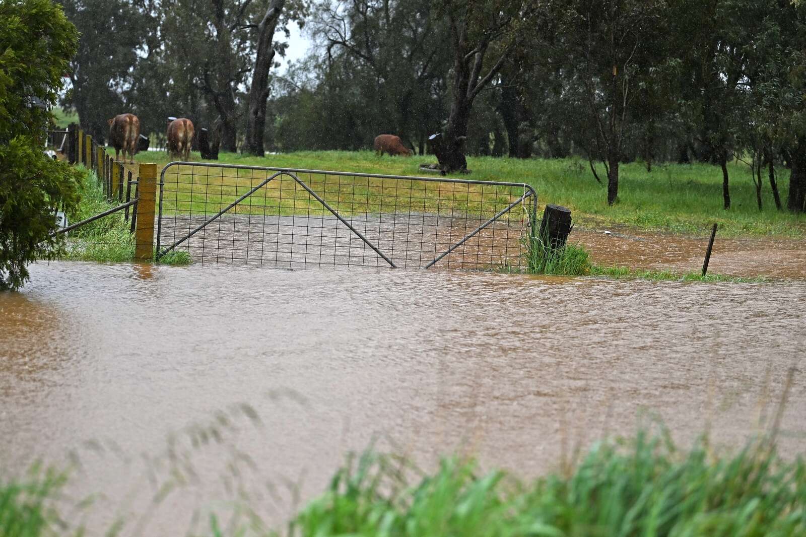 Taking stock of soil properties after a flood | Country News