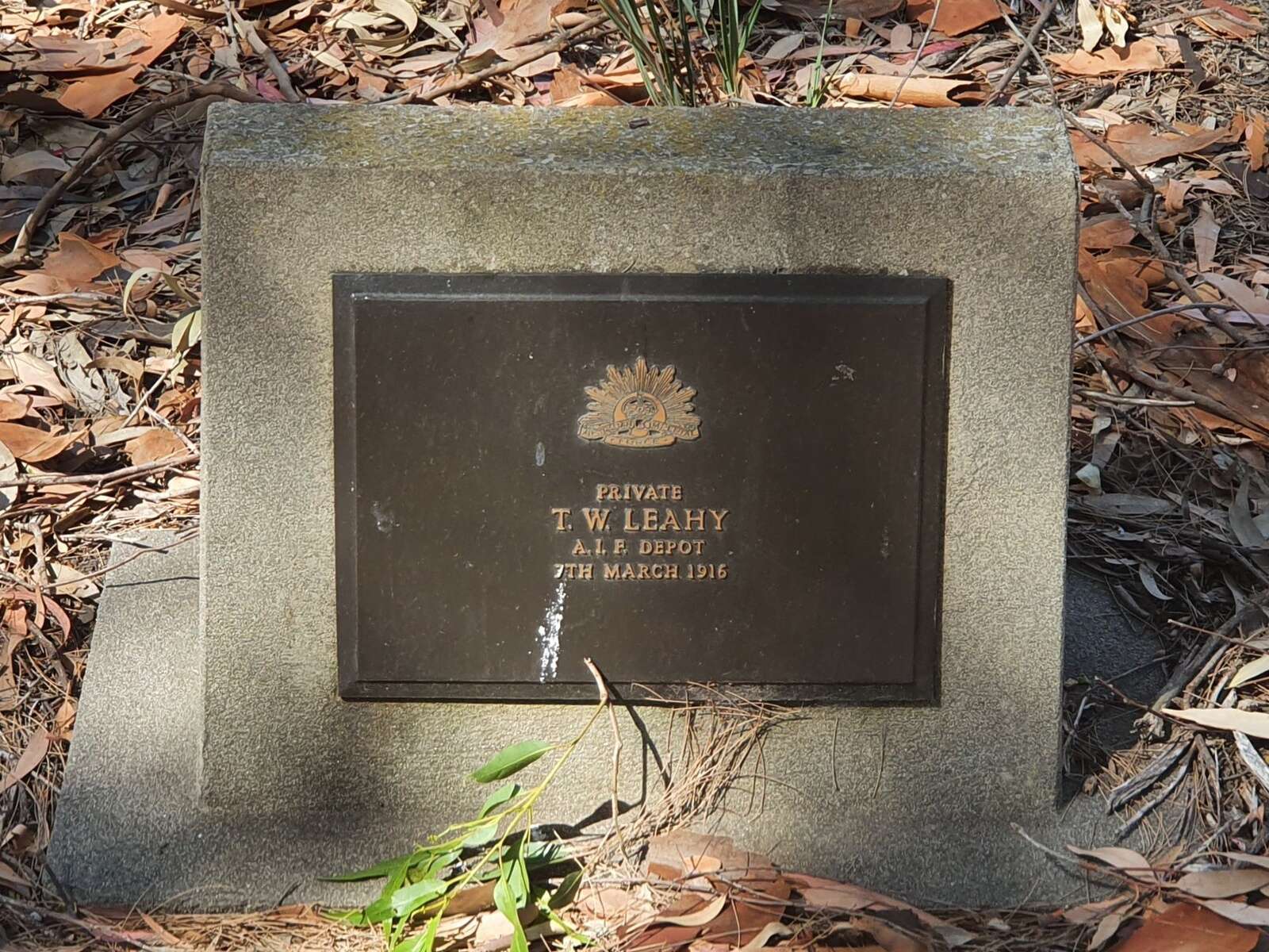 Coo-ee: An exceptional death | Country News