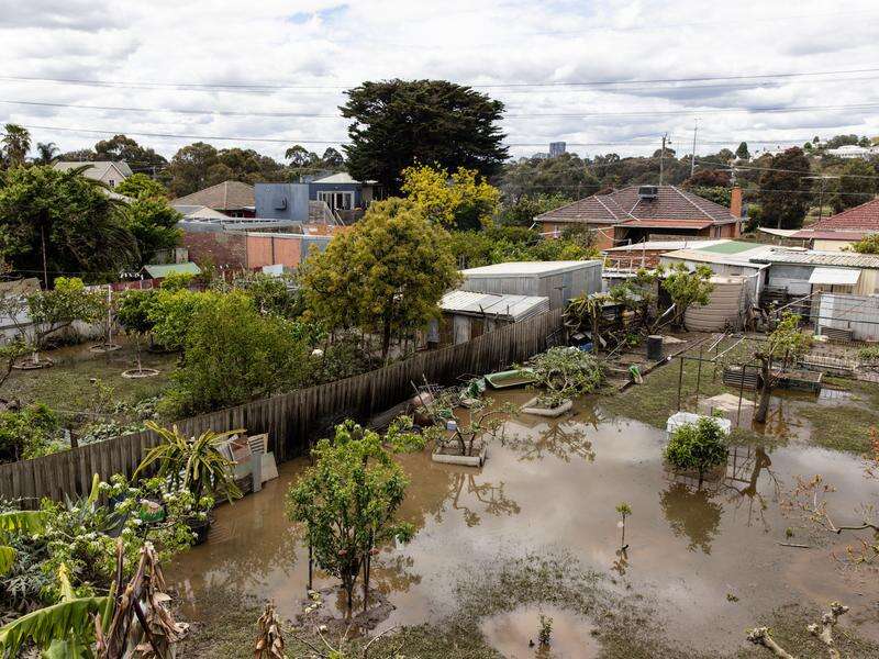 Water utility to update modelling after Melbourne flood | Country News