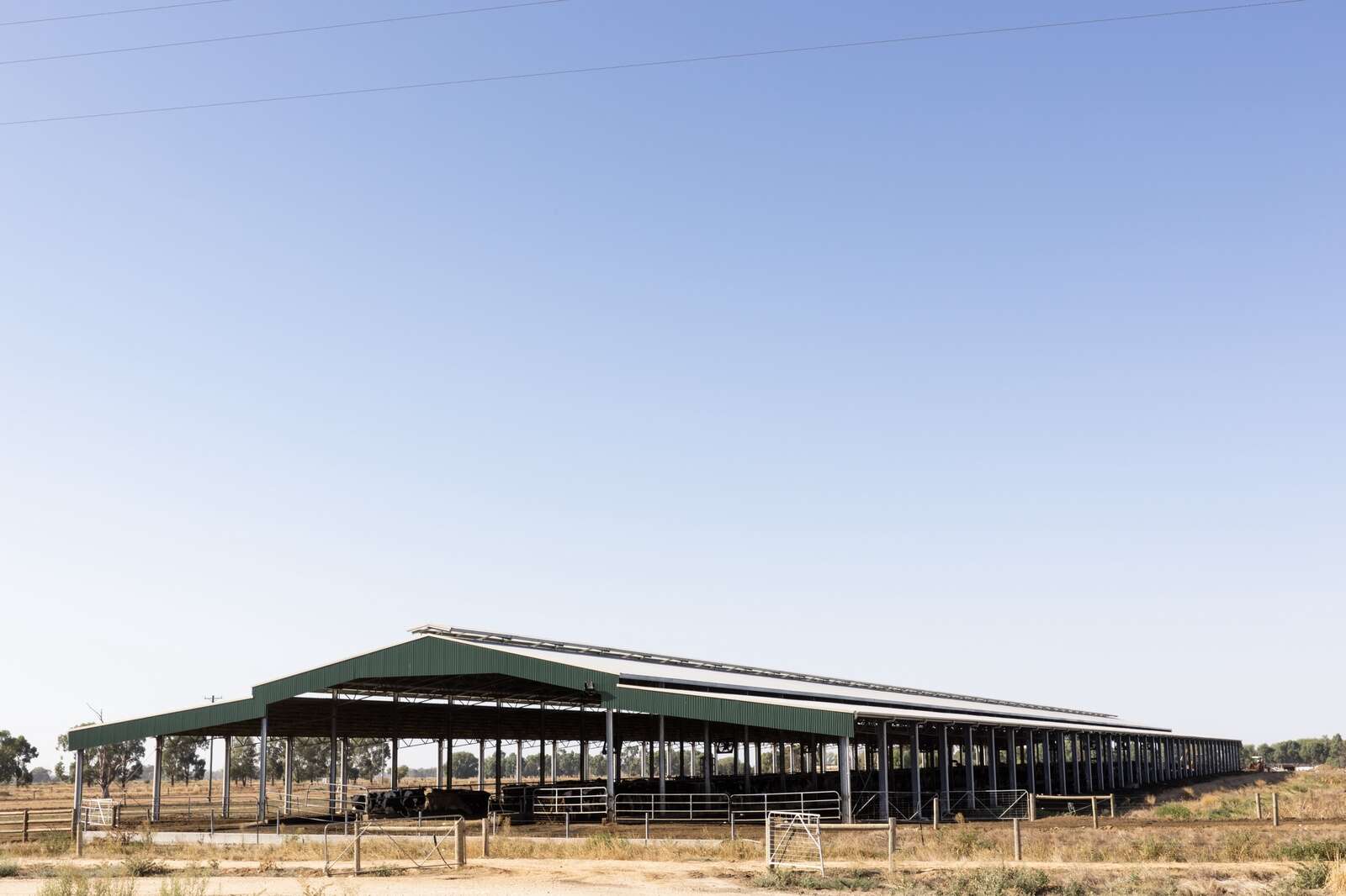Keeping it cool | Dairy News Australia